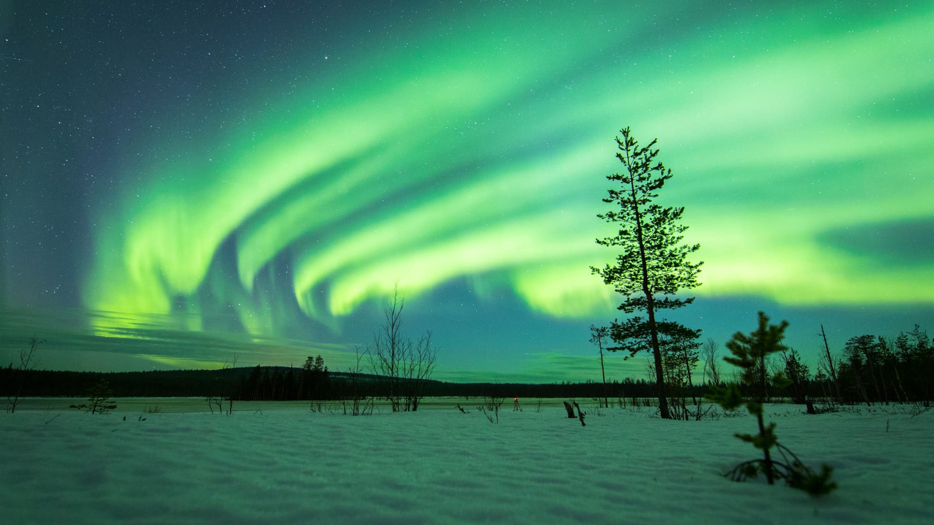 Piece of Lapland - Authentic Gifts & Souvenirs